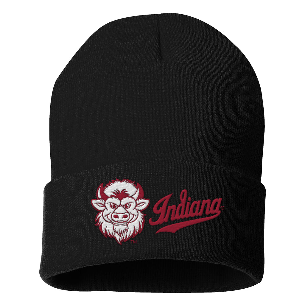 Indiana Secondary Logo Bison Cuffed Beanie – Underground Printing
